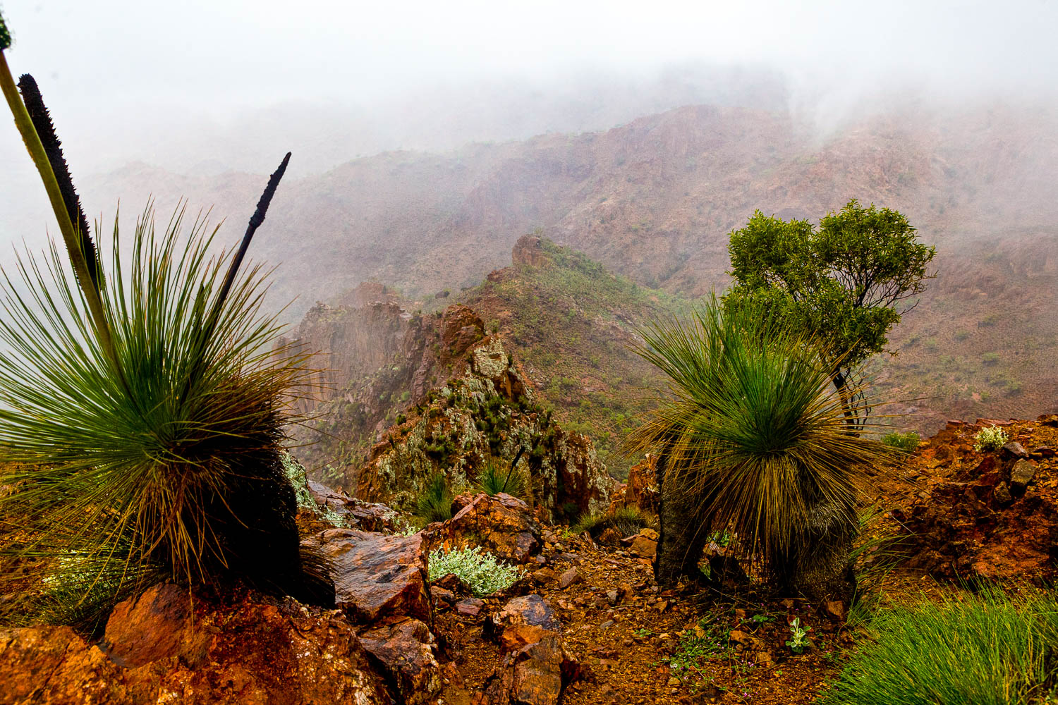 Ridge Top at Arkaroola | Travelsnapz | Travel photos and stories